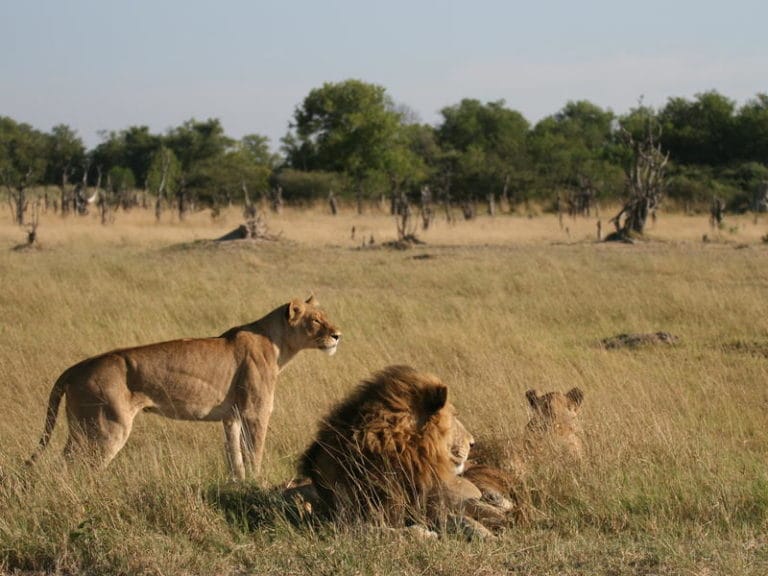 Third Bridge Camp – Drive Botswana