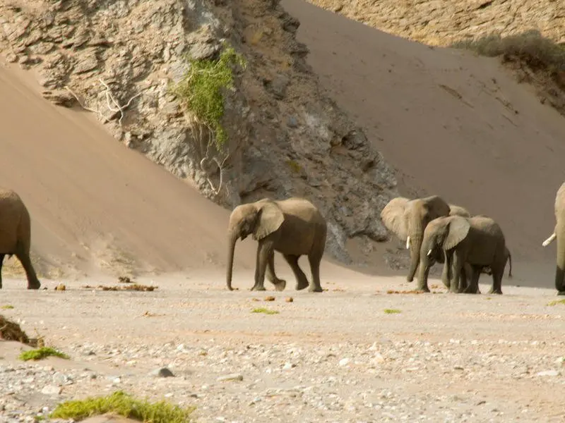 Skeleton Coast - Drive Botswana